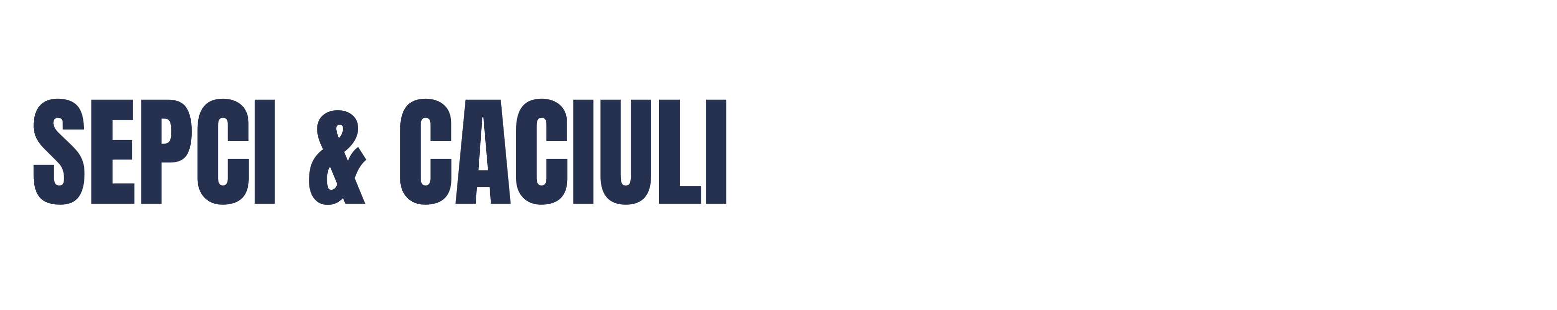 Adulti - Sepci&Caciuli – Shop Oficial FCSB